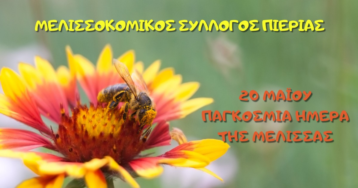 20 Μαίου: Παγκόσμια Ημέρα της Μέλισσας - Pieria News