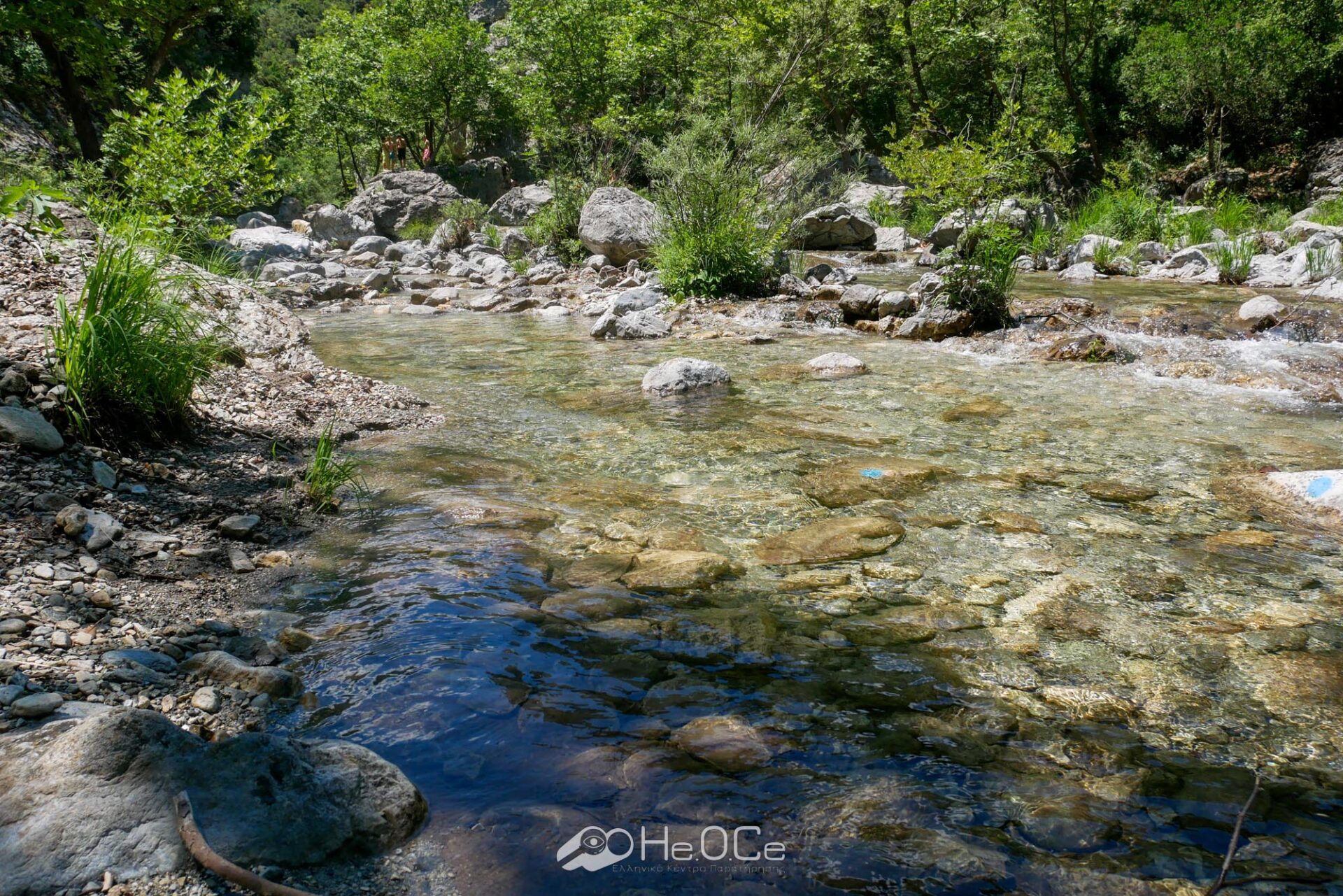 Φαράγγι Ενιπέα - Όλυμπος (φωτο, video) - Pieria News